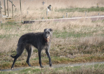 Birog 11.06.2008 - 14.09.2019
