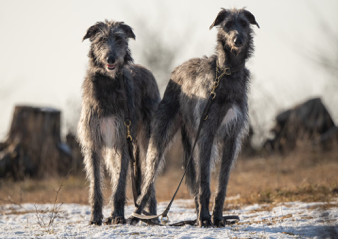 Ganz ruhig bleiben, einfach ganz ruhig bleiben
