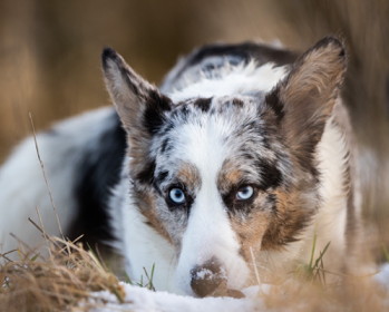Ganz ruhig bleiben, einfach ganz ruhig bleiben
