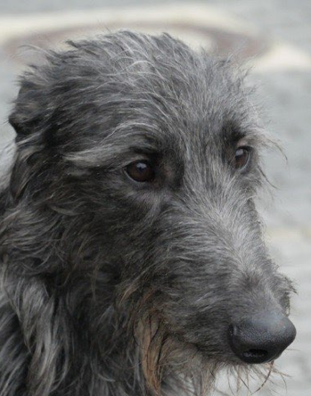 Ganz ruhig bleiben, einfach ganz ruhig bleiben