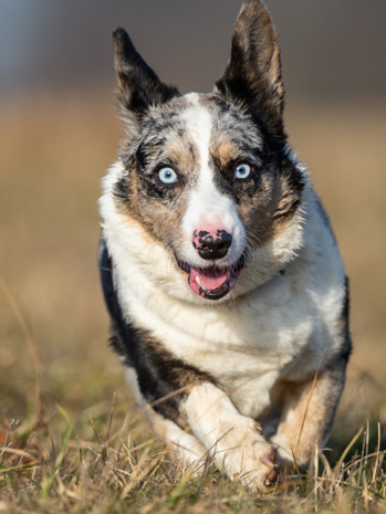 Ganz ruhig bleiben, einfach ganz ruhig bleiben