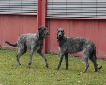 Ganz ruhig bleiben, einfach ganz ruhig bleiben