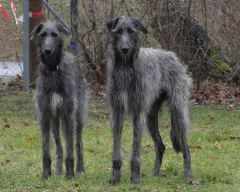 Ganz ruhig bleiben, einfach ganz ruhig bleiben