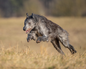 Ganz ruhig bleiben, einfach ganz ruhig bleiben